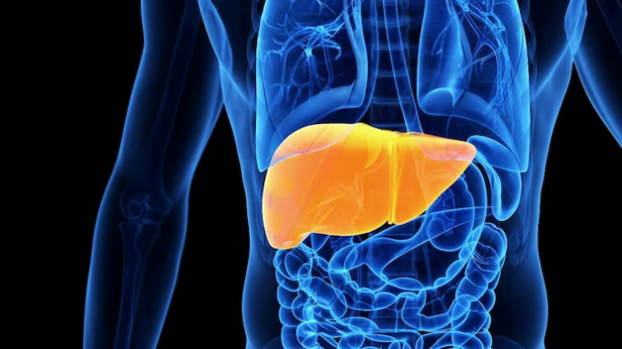 10 Kiat Hidup Agar Hati Sehat Dan Umur Panjang